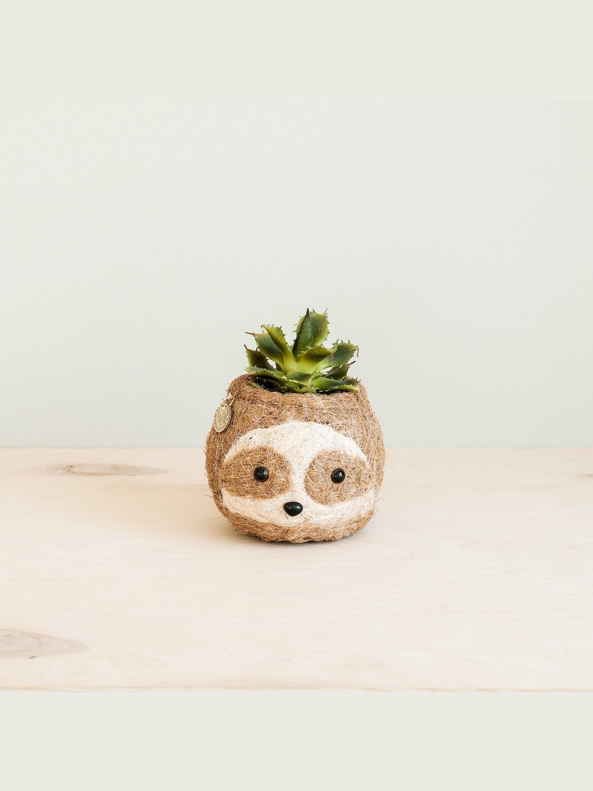 Two-Tone Sloth Coco Coir Planter - Handmade Decor | Flourish – Flourish ...